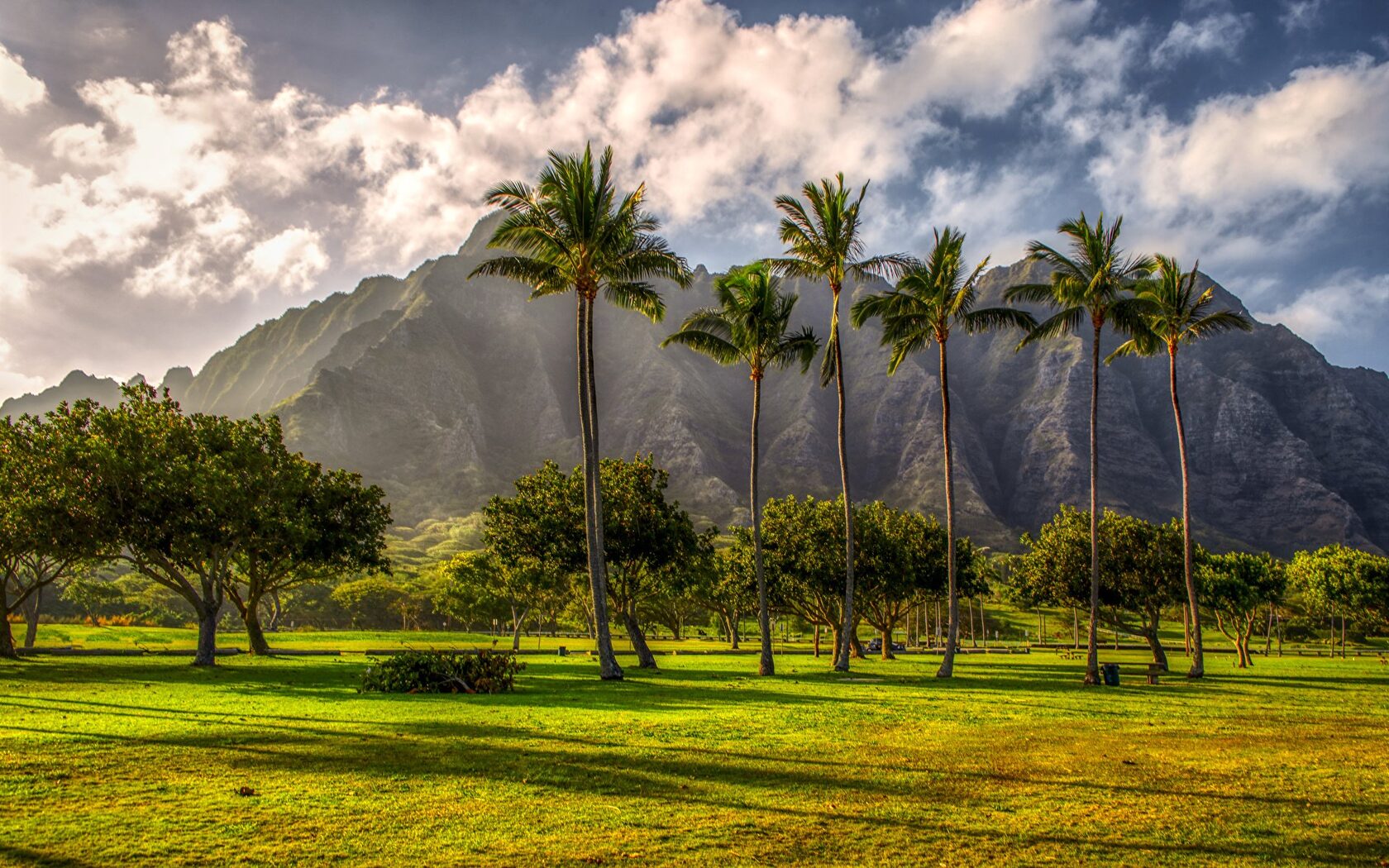 Selling Land in Hawaii: What Land Buyers in the USA Need to Know ...